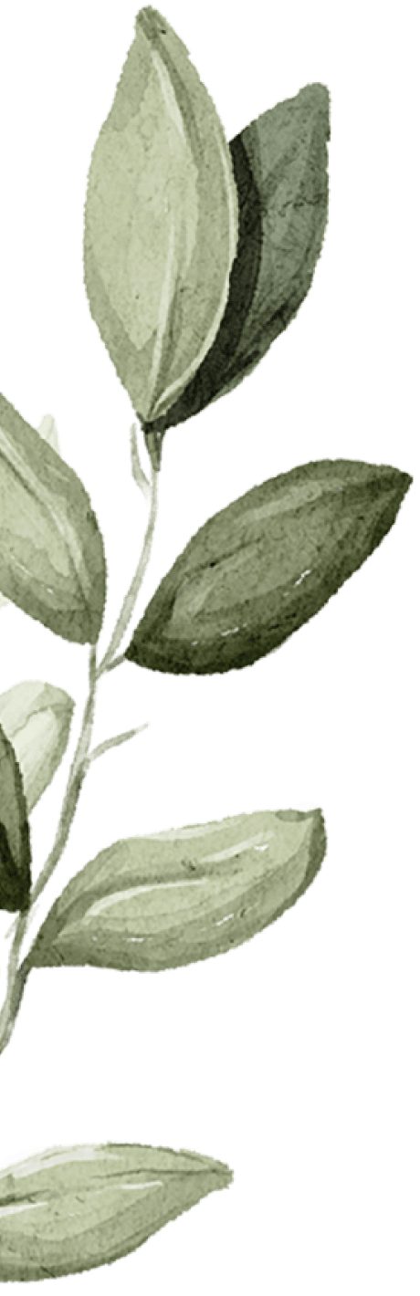 Ads LP2 Hair Loss Women 09 07 2025 - Imami Hair Restoration