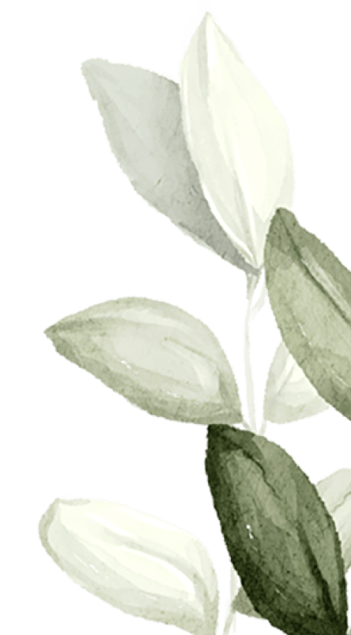 Ads LP2 Hair Loss Women 09 07 2025 - Imami Hair Restoration